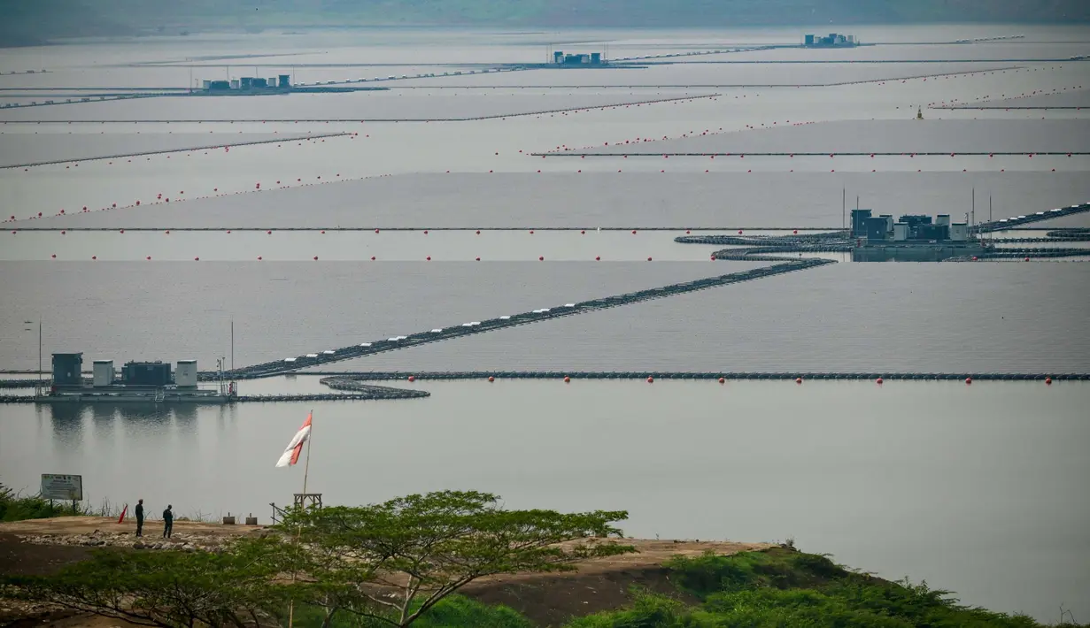Terbesar di Asia Tenggara, Ini Potret Udara PLTS Terapung Cirata - Foto Liputan6.com