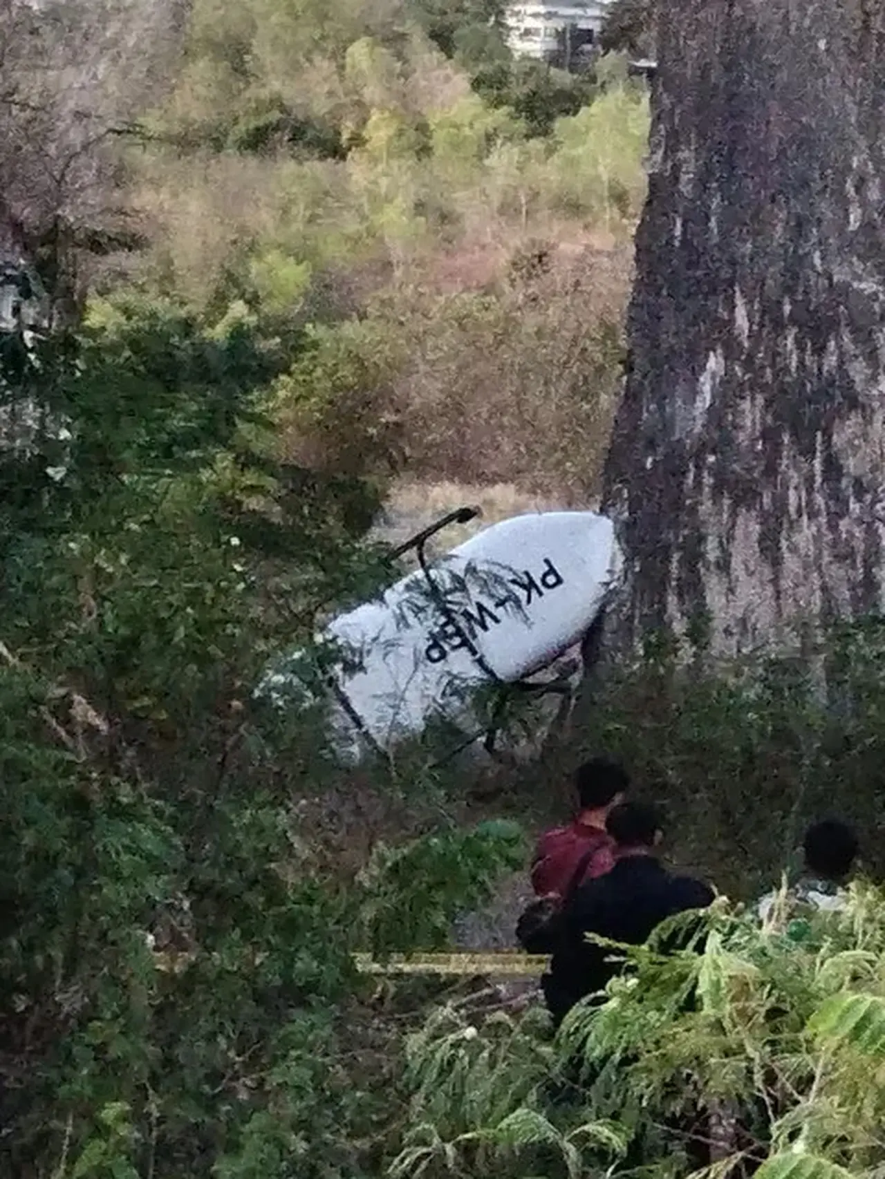 6 Fakta Terbaru Helikopter Jatuh di Bali Terlilit Tali Layangan, Diduga Milik Raffi Ahmad - Hot ...