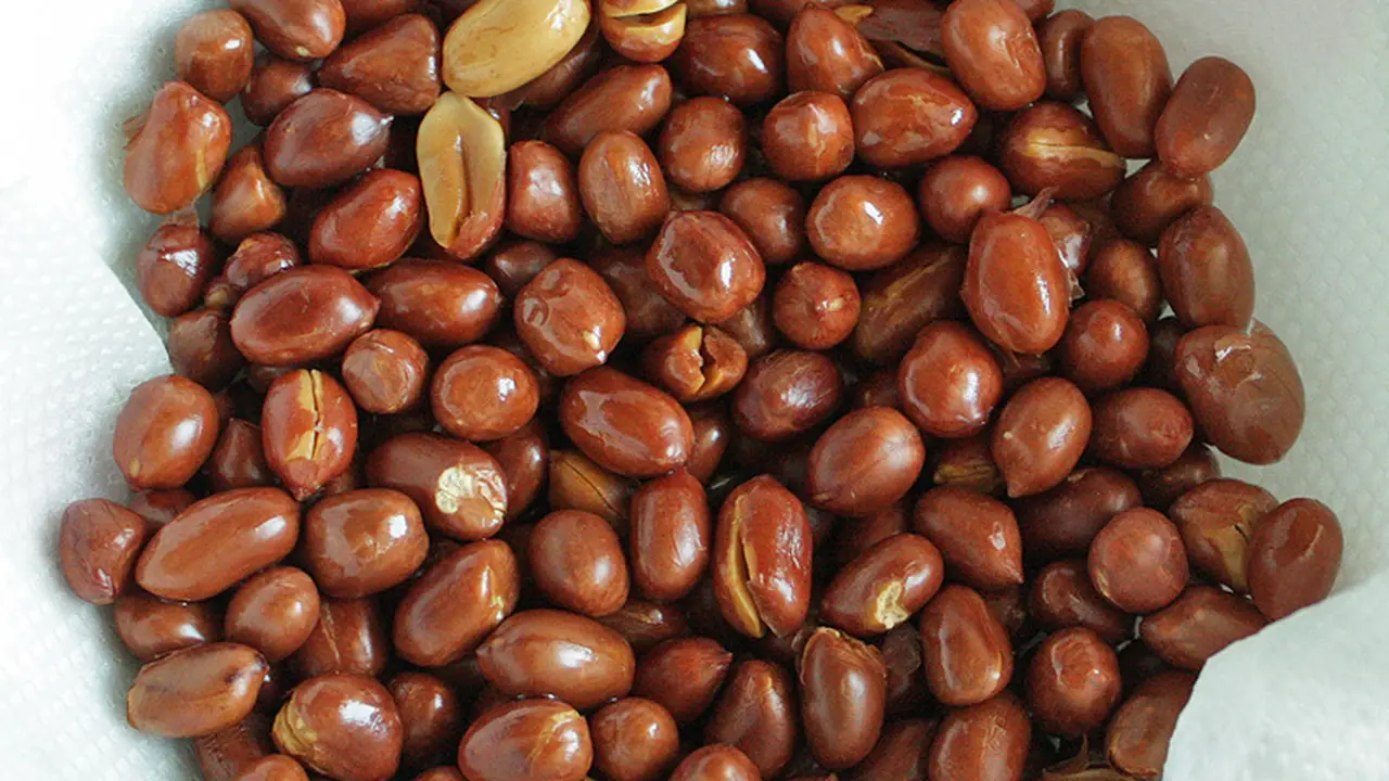 10 Cara Membuat Kacang Tojin yang Enak dan Renyah, Mudah Dibuat - Hot ...