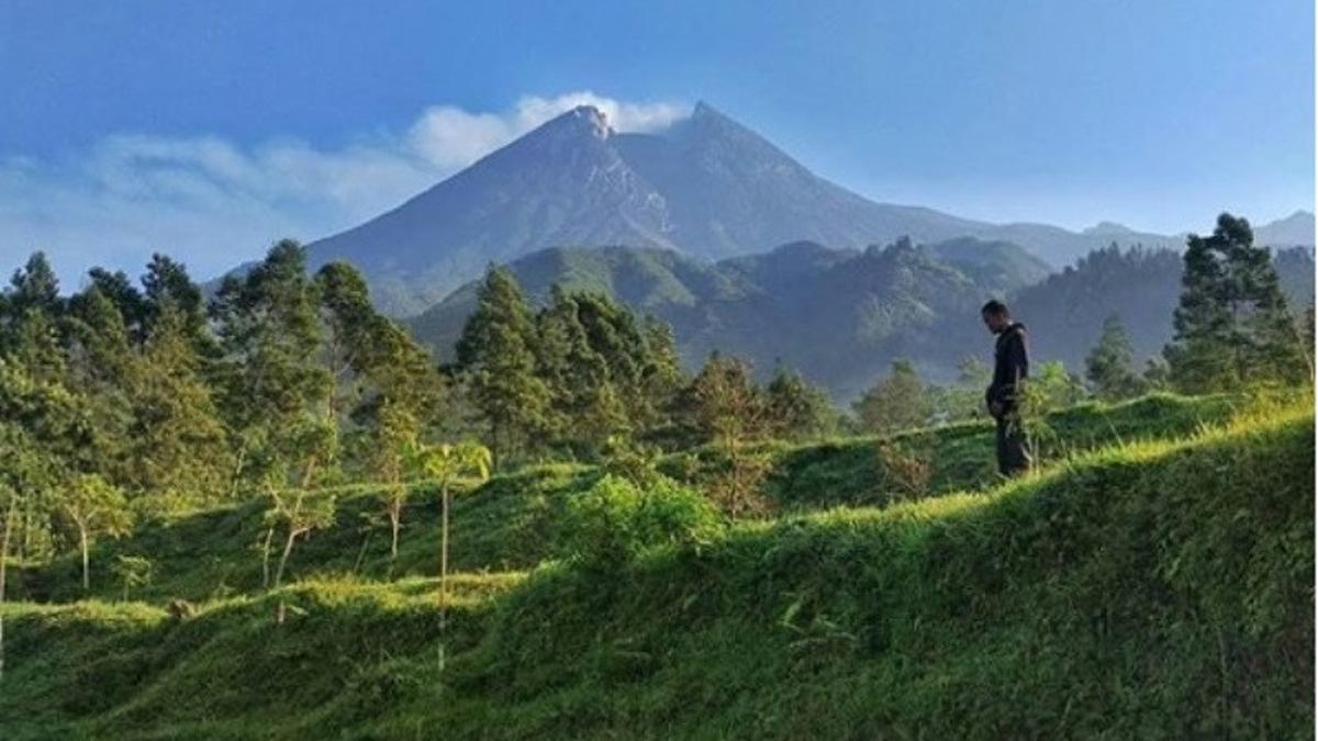 21 Wisata Merapi Jogja yang Sayang Dilewatkan, Kaya Keindahan Alam ...