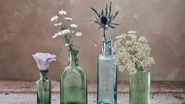 7 Cara Membuat Pot Bunga dari Botol Bekas yang Mudah, Unik dan Lucu
