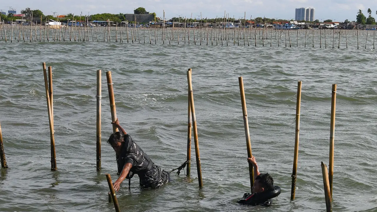 KKP Bakal Cabut Pagar Laut di Tangerang 22 Januari 2025 - Bisnis ...