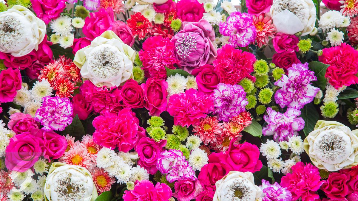 Warna Bunga Bisa Mengekspresikan Emosi - Health Liputan6.com