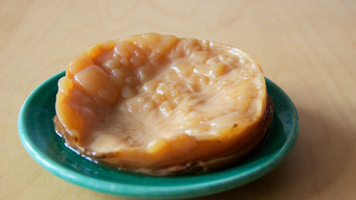 Serba-Serbi Kombucha (Jamur Teh) dan Manfaatnya Bagi Kesehatan - Beauty ...