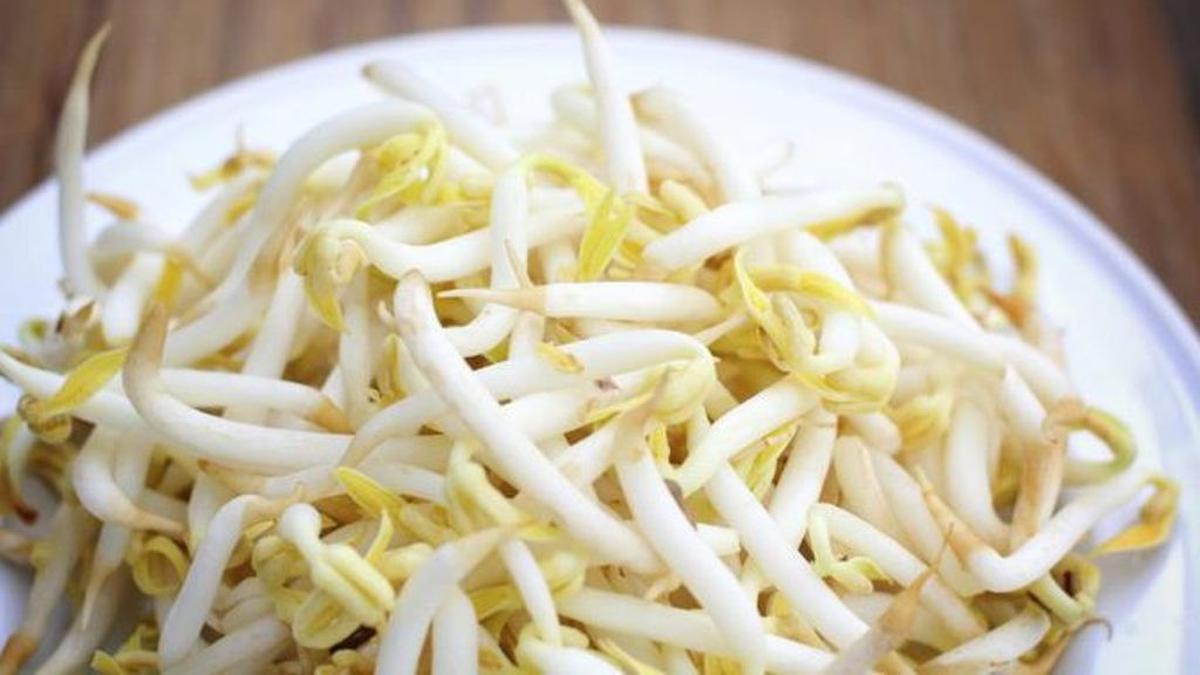 Sederet Manfaat Taoge untuk Cewek yang Jarang Diketahui - Lifestyle ...