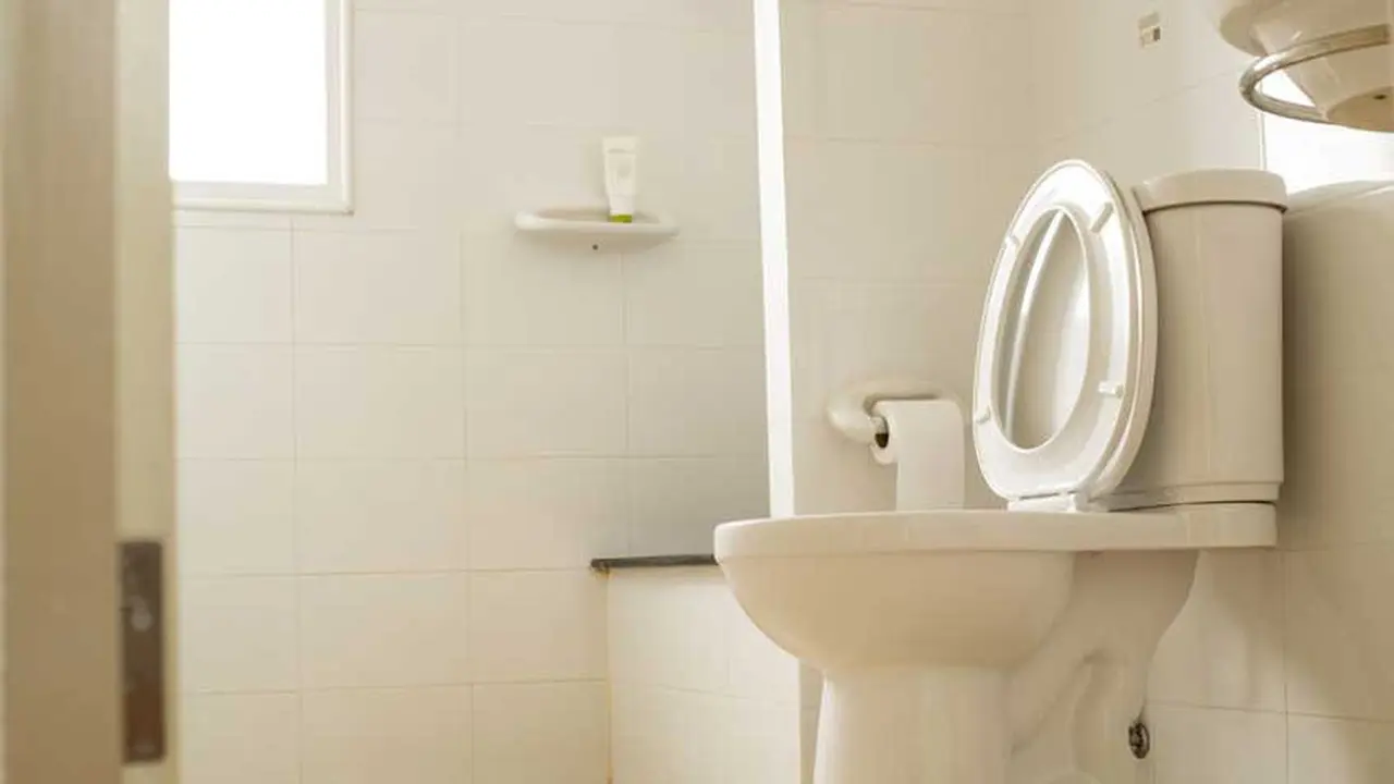 Ketahui Kondisi Kesehatan Anda Lewat 5 Warna Feses Berikut Ini ...