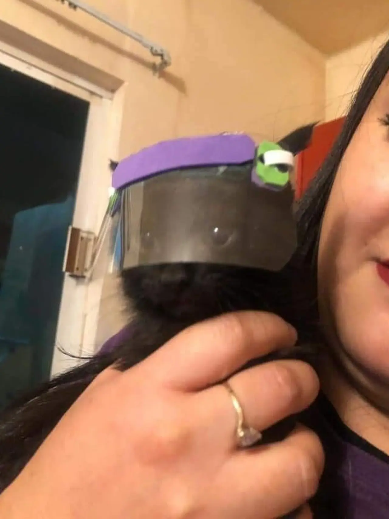 6 Potret Lucu Kucing Pakai Masker hingga Face Shield, Ikut Cegah Virus ...