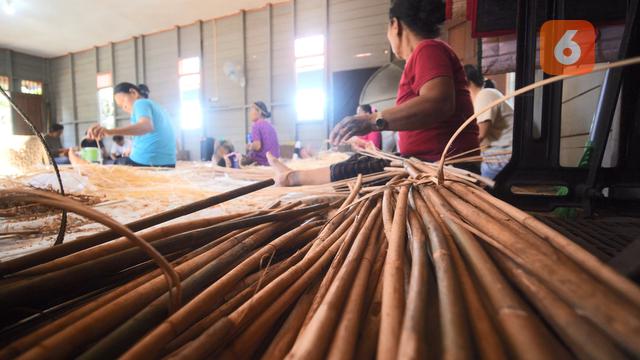 11 Manfaat Rotan Bagi Manusia, Harga Terjangkau dan Ramai Untuk Kulit ...