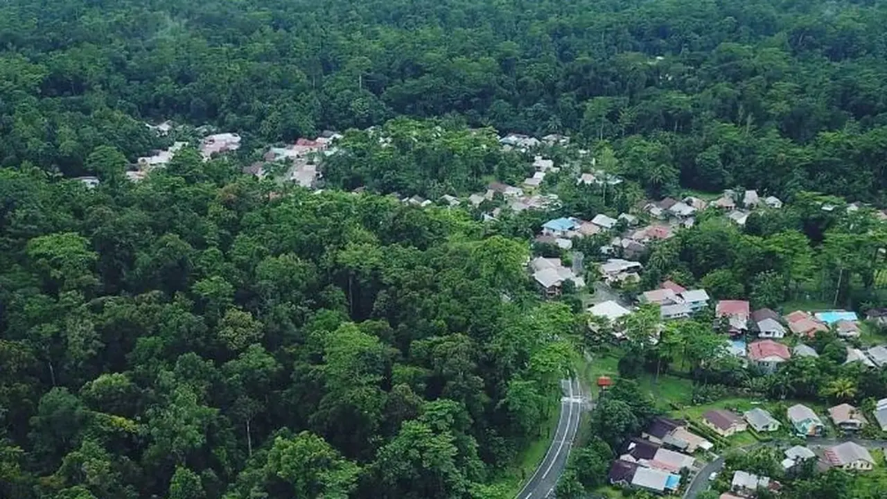 Kuala Kencana, Kota Modern Berpadu dengan Hutan Tropis Papua - Regional ...
