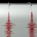 Gempa M6,0 Guncang Timor Tengah Utara NTT, Getaran Terasa Sampai Ende ...