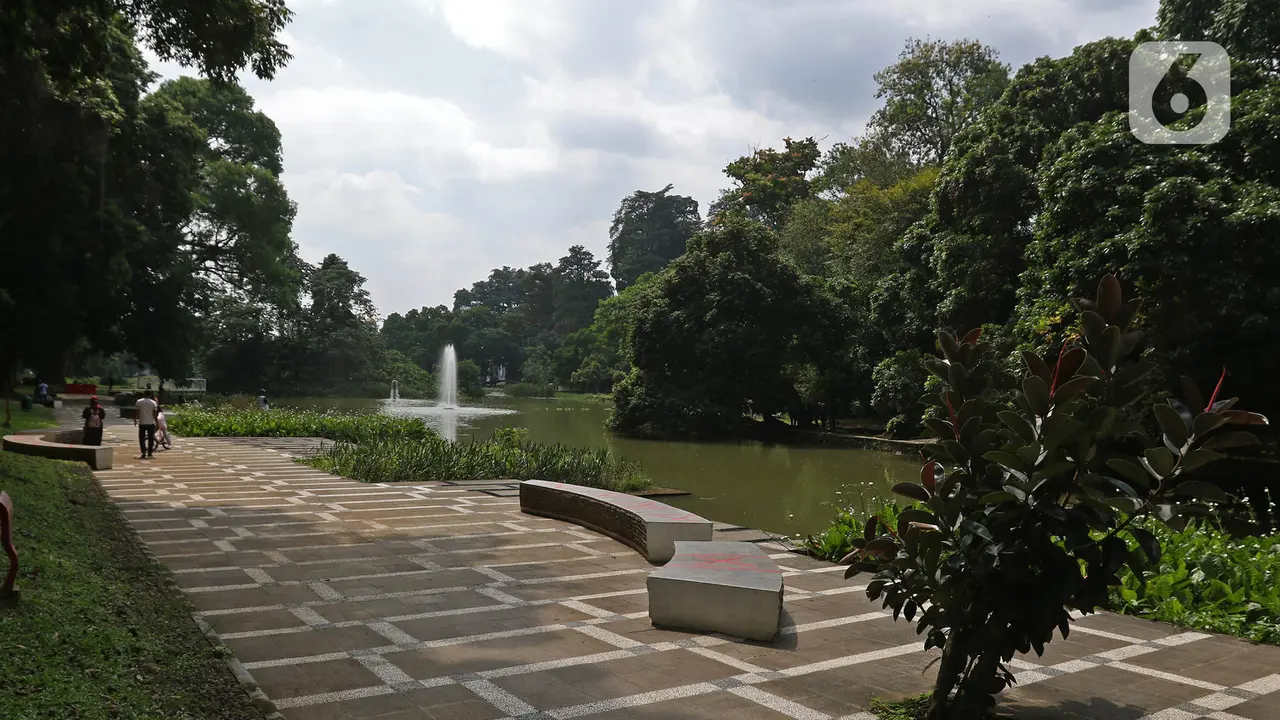 6 Rekomendasi Kebun Raya yang Cocok untuk Piknik, Hijau dan Sejuk ...