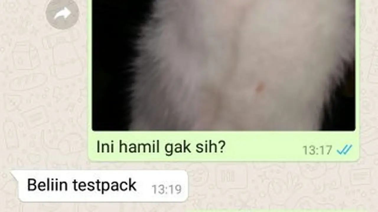 Kumpulan Chat Keluarga Ini Tak Cuma Absurd, tapi Juga Bikin Ngakak ...