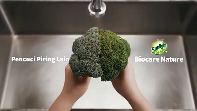 Terobosan Baru! Sunlight Biocare Nature 100% Food Grade* yang Dukung ...