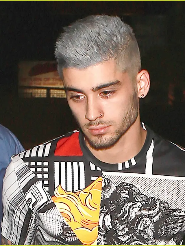 Setelah Zendaya, Zayn Malik Jatuh Hati Pada Model India - ShowBiz ...