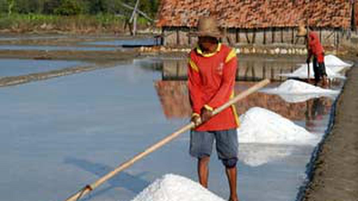 Sekarang, Indonesia Sudah Bisa Produksi Garam Farmasi