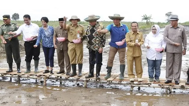 Garap Lahan Rawa, Kementan Proyeksikan Kalsel Jadi Lumbung Pangan di ...