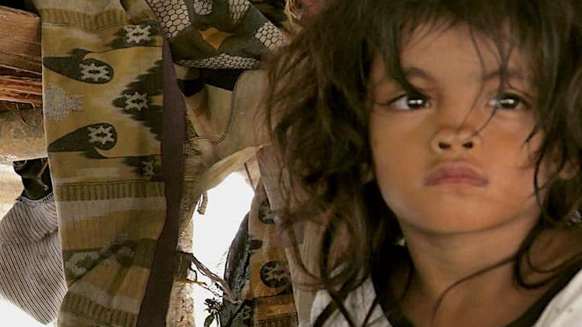 Tentang Suku Togutil Halmahera Viral Saat Kehidupannya Terancam ...