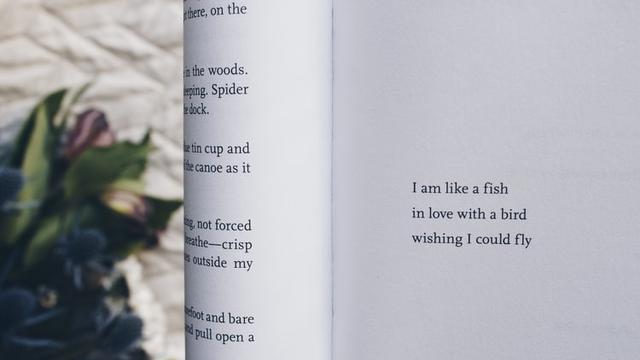 Jenis-Jenis Syair Lengkap Beserta Penjelasan dan Contohnya - Ragam Bola.com