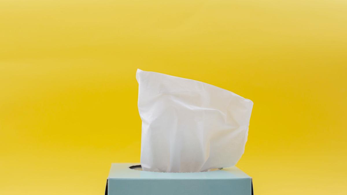 Ketahui 4 Perbedaan Tisu Toilet dan Tisu Wajah, Salah Pakai Bisa Bahaya