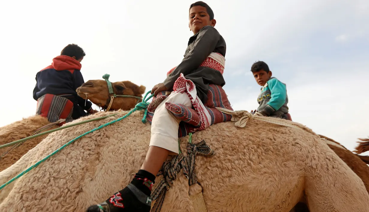 FOTO: Aksi Para Joki Cilik Memacu Unta di Mesir - Foto Liputan6.com