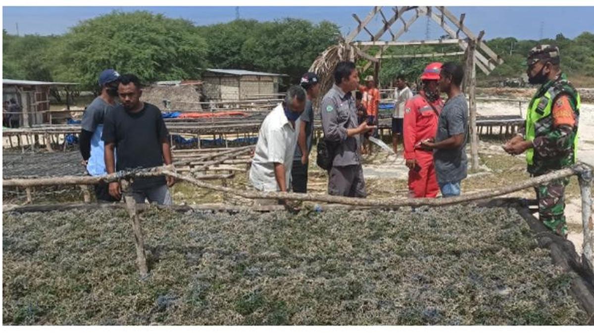 Pembangunan PLTU Timor 1 Dikeluhkan Petani, Ini Penjelasan PTPP