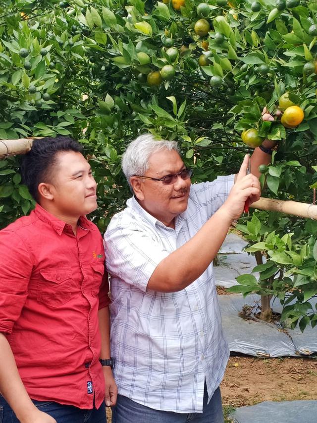 Geliat Warga Mengembalikan Kejayaan Jeruk Garut - Regional Liputan6.com