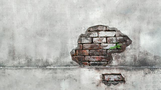 6 Cara Mengatasi Tembok Rumah Berjamur dan Lembap - Hot Liputan6.com