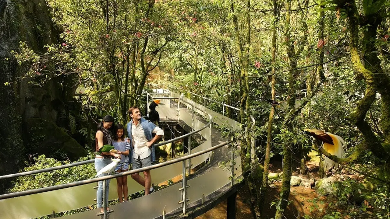 25 Wisata di Puncak yang Hits, Jadi Referensi untuk Liburan Bersama ...
