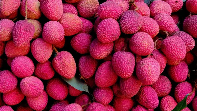 11 Manfaat Buah Leci untuk Kesehatan yang Perlu Diketahui - Ragam Bola.com