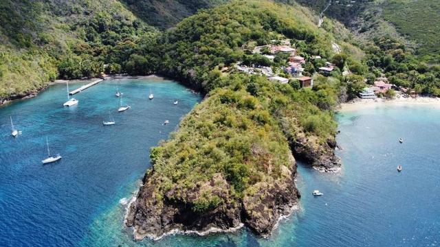 6 Fakta Menarik Martinik, Wilayah Prancis yang Terkenal Minuman Rum ...