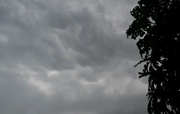 Landscape adalah Posisi Foto dengan Orientasi Horizontal, Ini Bedanya ...