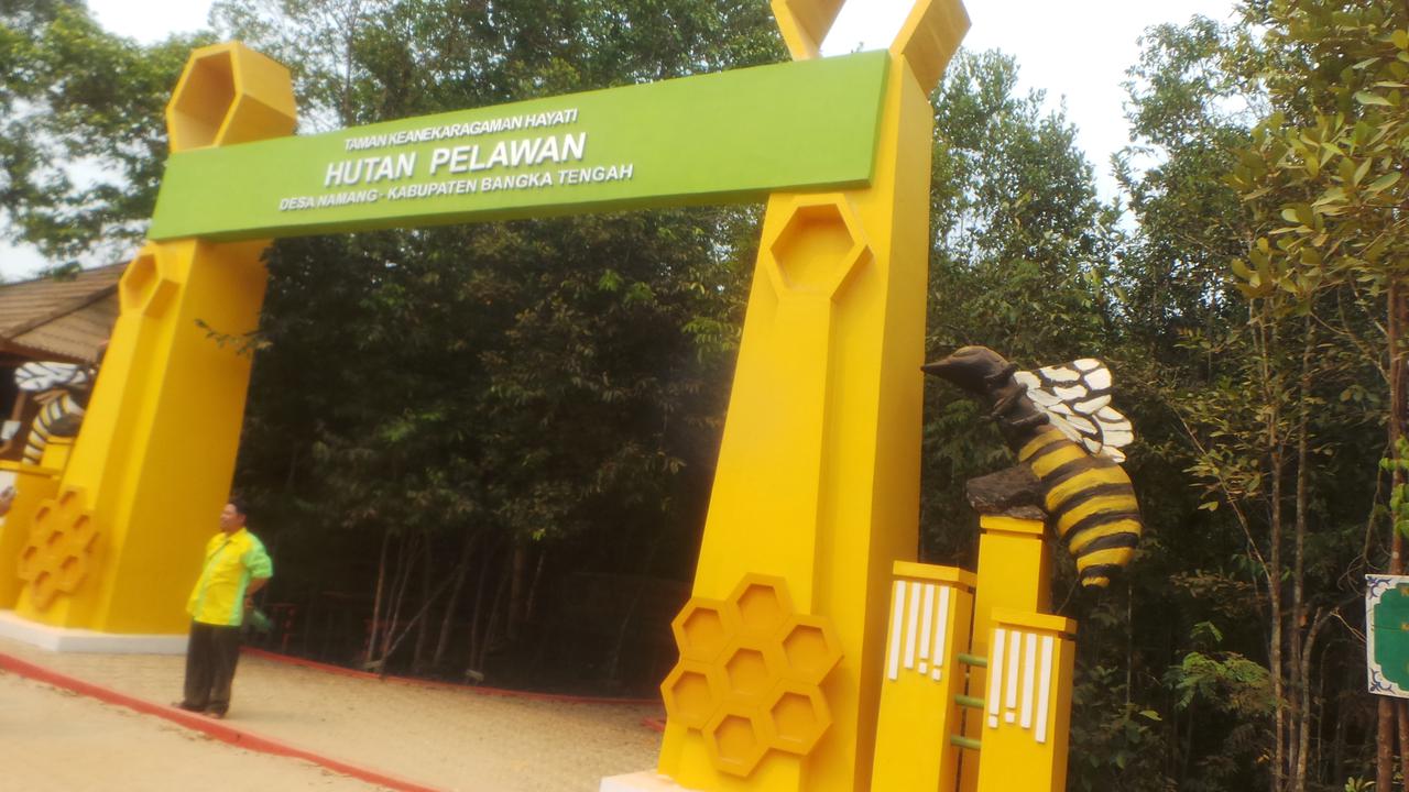 6 Fakta Menarik Bangka Tengah, Punya Hutan Pelawan Habitat Hewan Endemik
