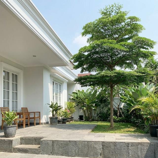 7 Jenis Tanaman yang Bikin Area Jemuran Sejuk Meski Cuaca Panas