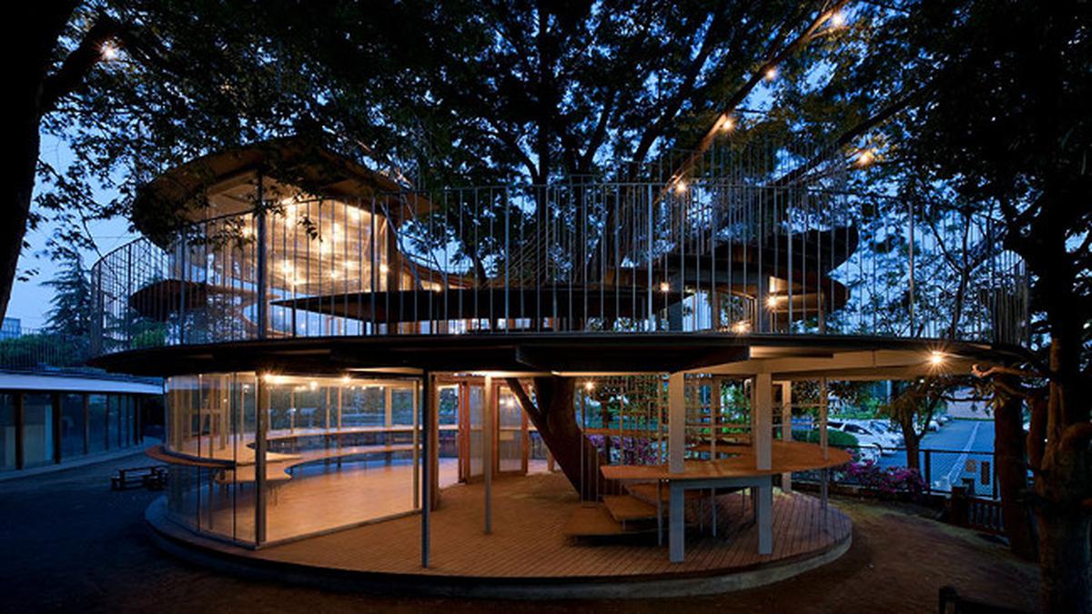 Taman Kanak-kanak ini Dibuat Mengelilingi 'Pohon Ajaib' - Global ...