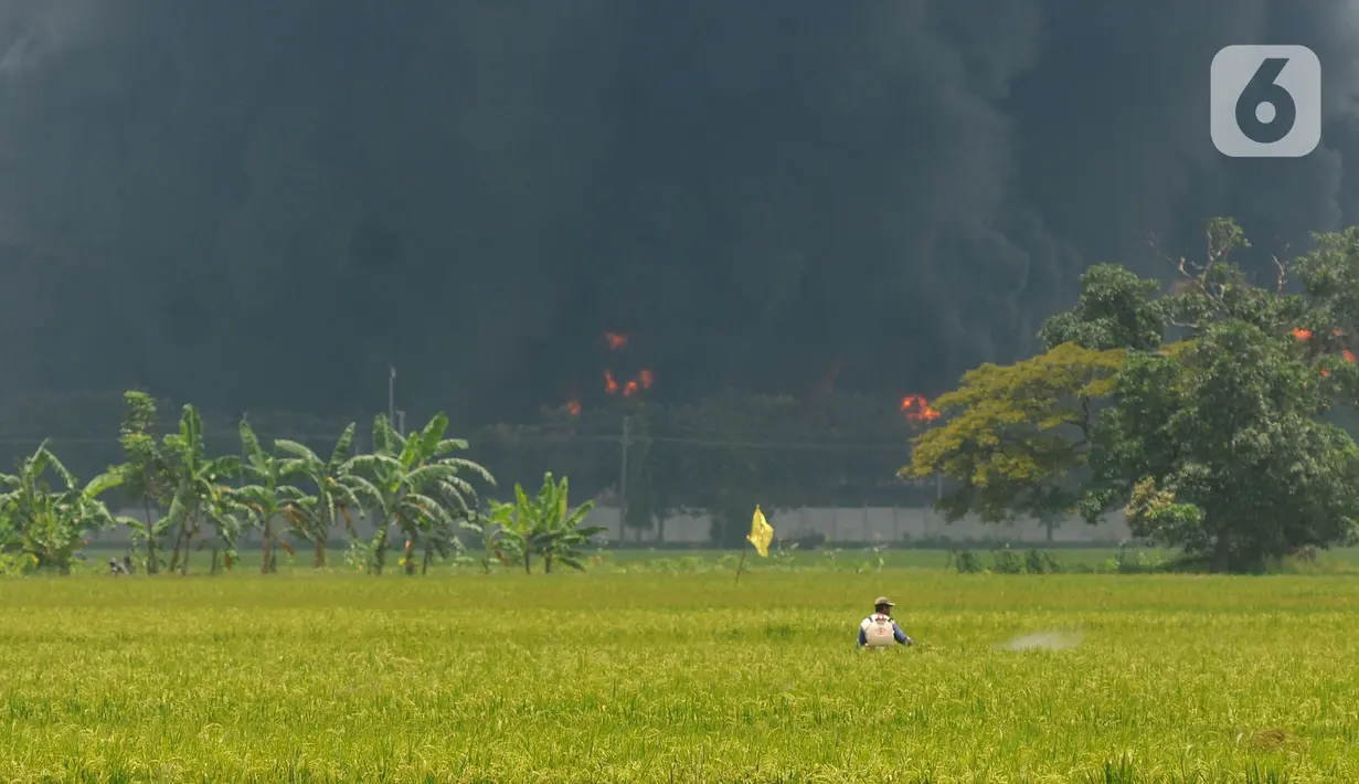 FOTO: Asap Hitam Masih Membumbung di Area Kilang Minyak Balongan - Foto ...