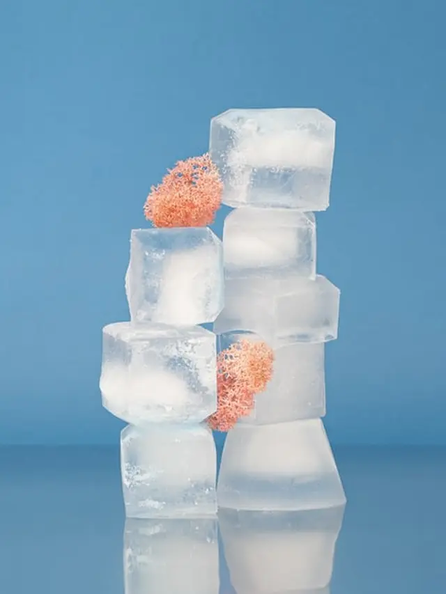 Serba-serbi Es Batu Stainless Steel yang Sedang Viral - Lifestyle ...