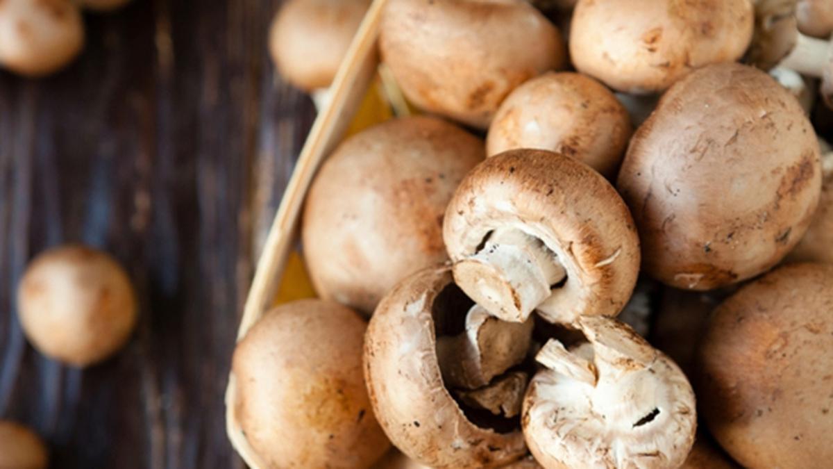Jenis-Jenis Jamur Yang Super Sehat - Beauty Fimela.com