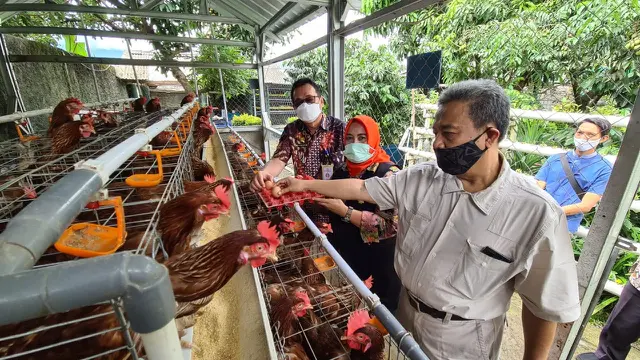 Kementan Kembangkan Pertanian Terpadu Melalui Program P4S - News ...