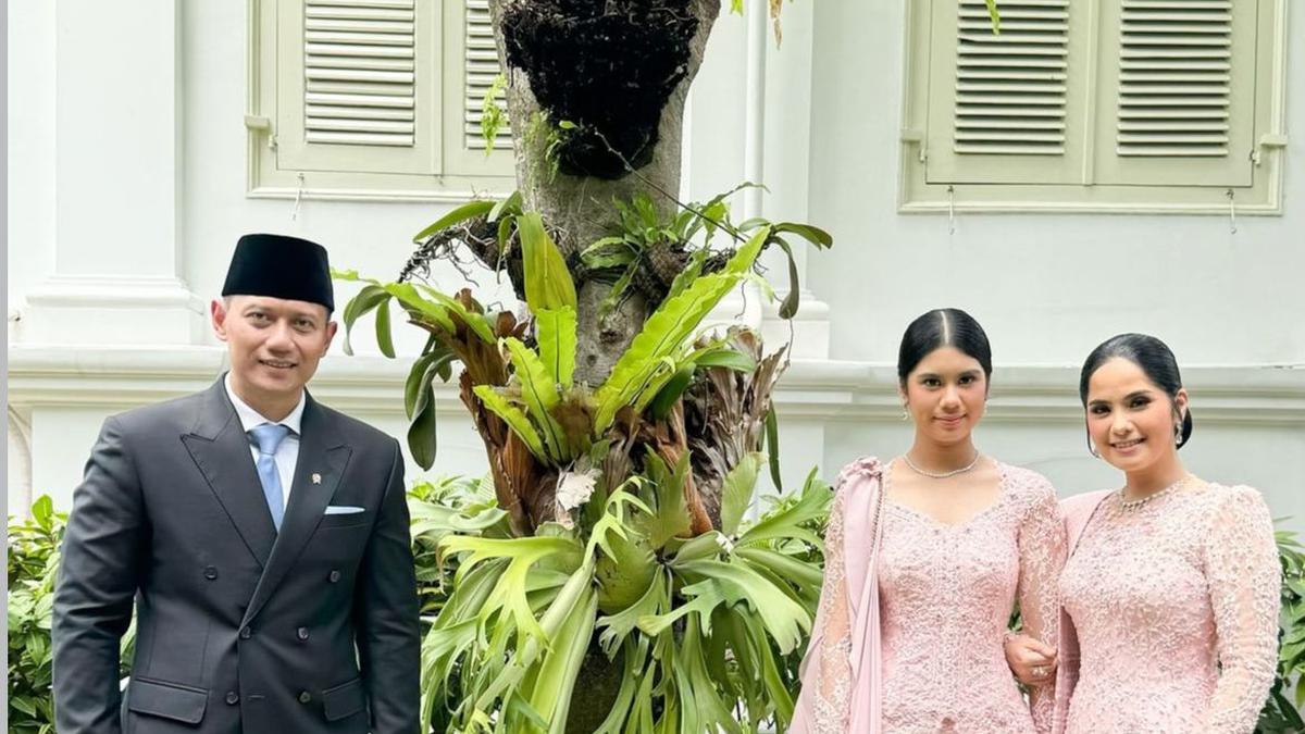 Kenangan Tak Terlupakan di Bawah Pohon Kenari Aira, Ini Cerita Cinta ...