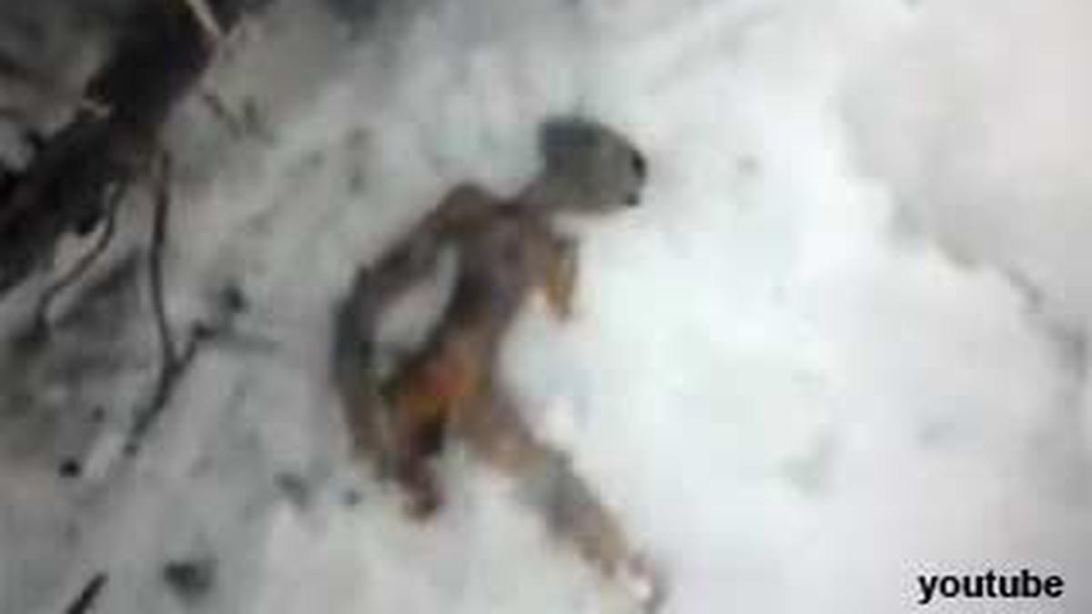 Video "Jasad Alien" Bikin Heboh - Tekno Liputan6.com