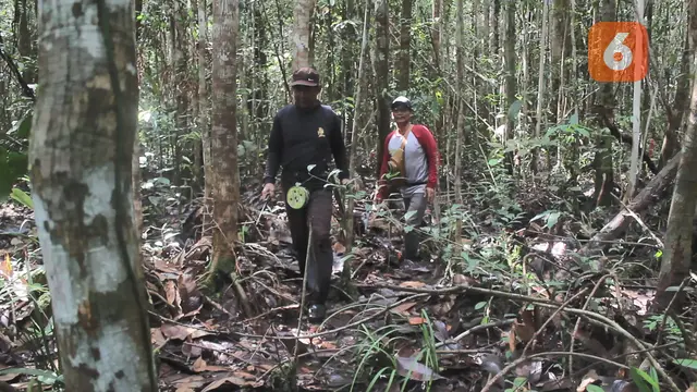 Ubah Jadi Hutan Desa, Cara Warga Kutai Kartanegara Selamatkan Hutan ...