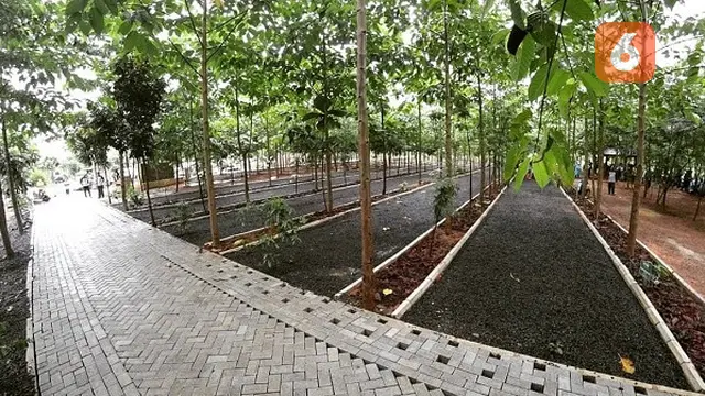 Menjelajahi Geopark Meratus: Dari Hutan Hujan, Tambang Intan, hingga ...