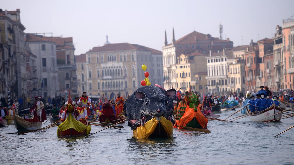 FOTO: Tikus Raksasa Susuri Grand Canal di Italia - Foto Liputan6.com