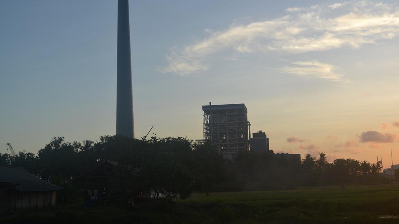 Ekosistem Biomassa PLTU Adipala Cilacap Bakal Turunkan Emisi 48.531 Ton CO2