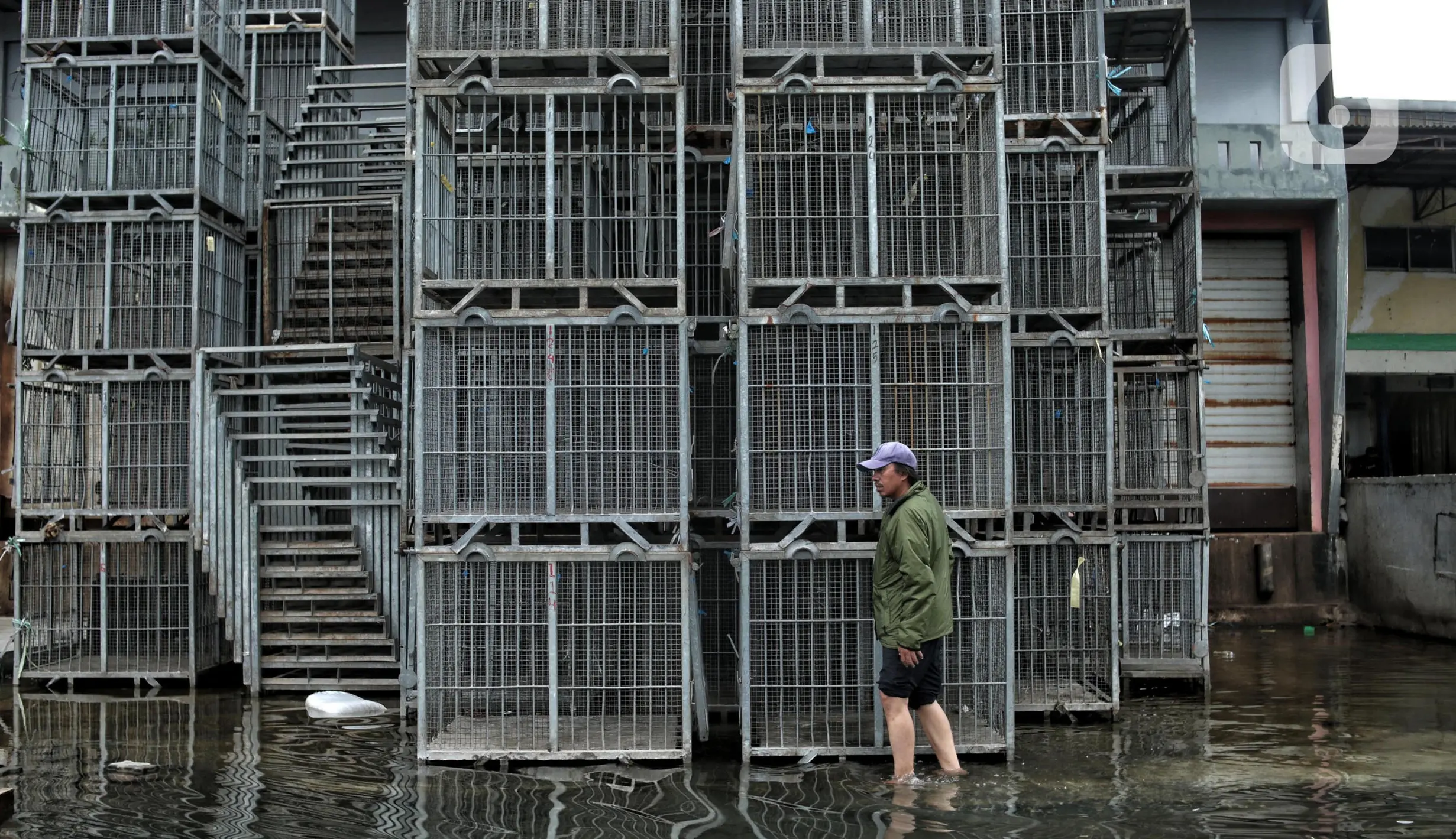 Waspada Banjir Rob di Pesisir Jakarta hingga Akhir Tahun - Foto Liputan6.com
