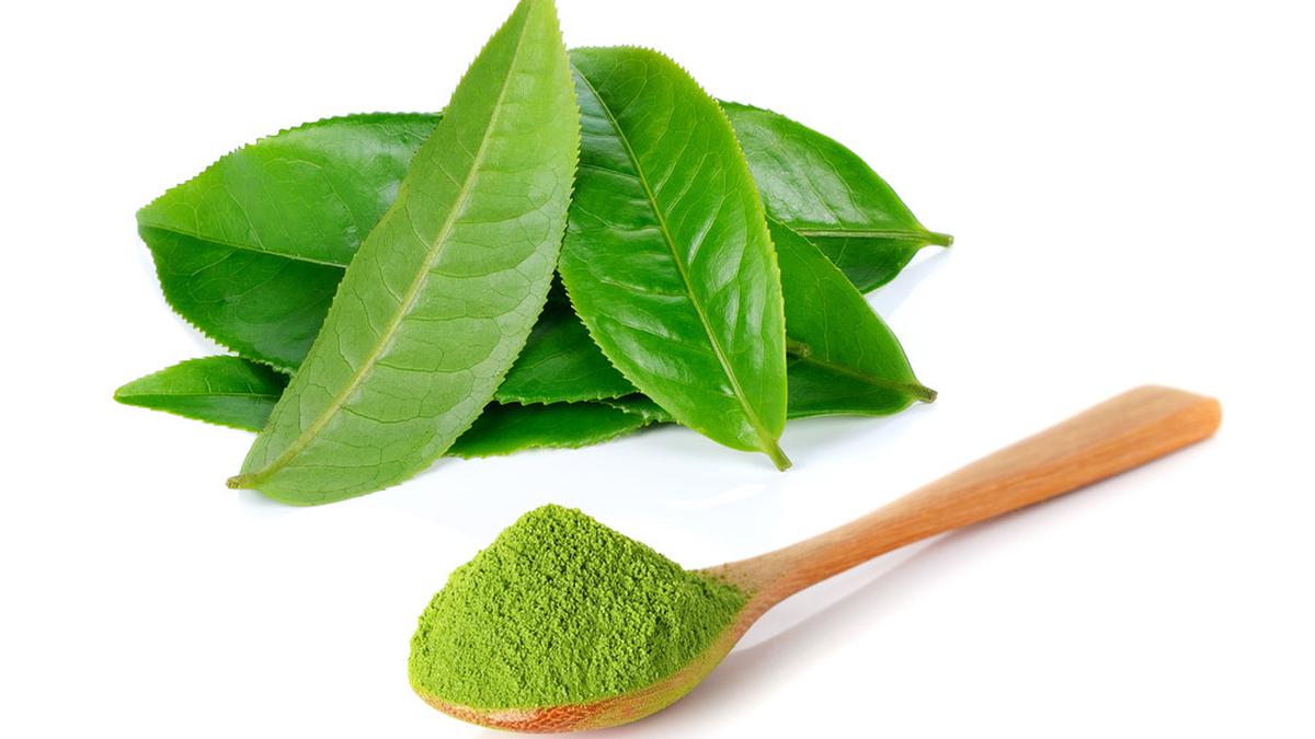 4 Jenis Dedaunan Untuk Memutihkan Wajah