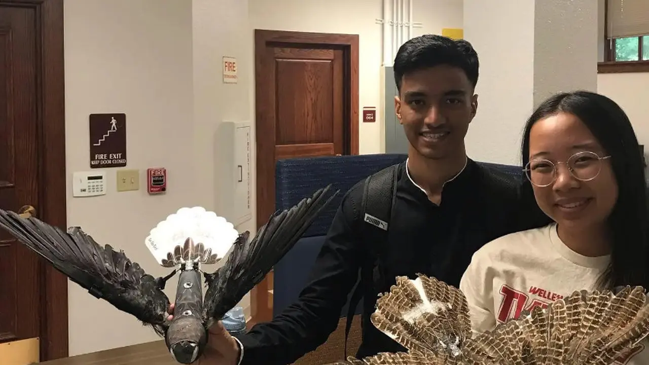 Profesor Ini Ubah Burung Mati Jadi Drone untuk Pelajari Satwa dan ...