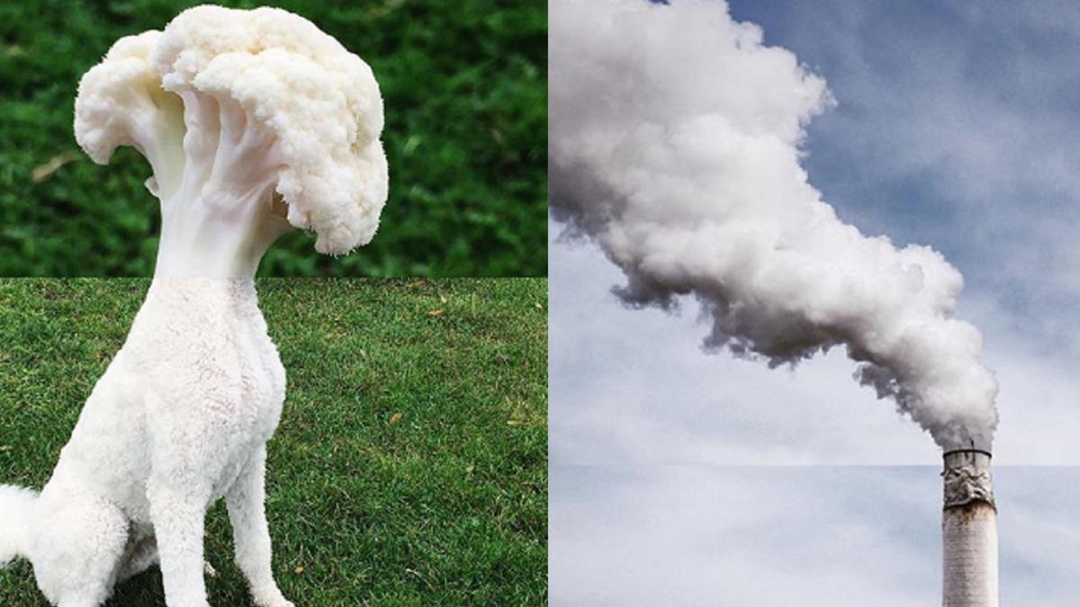 Super Kreatif, 7 Kombinasi Foto Mengagumkan dari Objek Sekitar