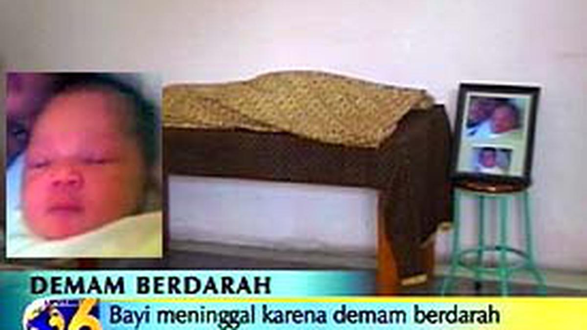 Lagi, Demam Berdarah Memakan Korban - News Liputan6.com
