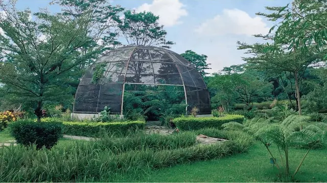 Kebun Raya Indrokilo Boyolali Jadi Kebun Raya Terbaik di Indonesia ...